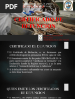 Curso Virtual: Llenado de Certificados de Defunción | PDF