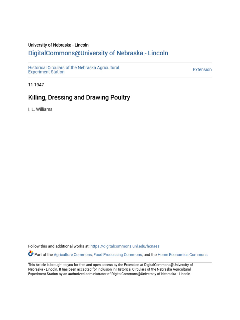 Poultry Dressing: Methods and Importance | PDF | Poultry | Ice
