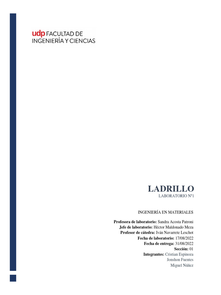 Lab NÂ°1 - Ladrillo | PDF | Ladrillo | Laboratorios