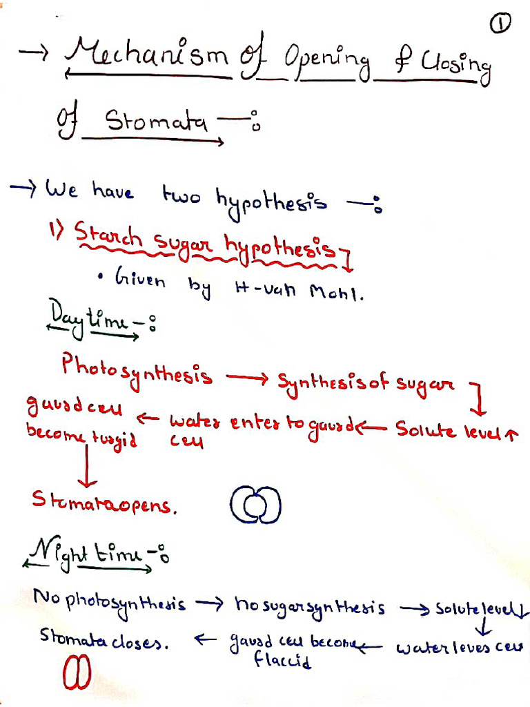 Mechanism of Opening and Closing of Stomata | PDF