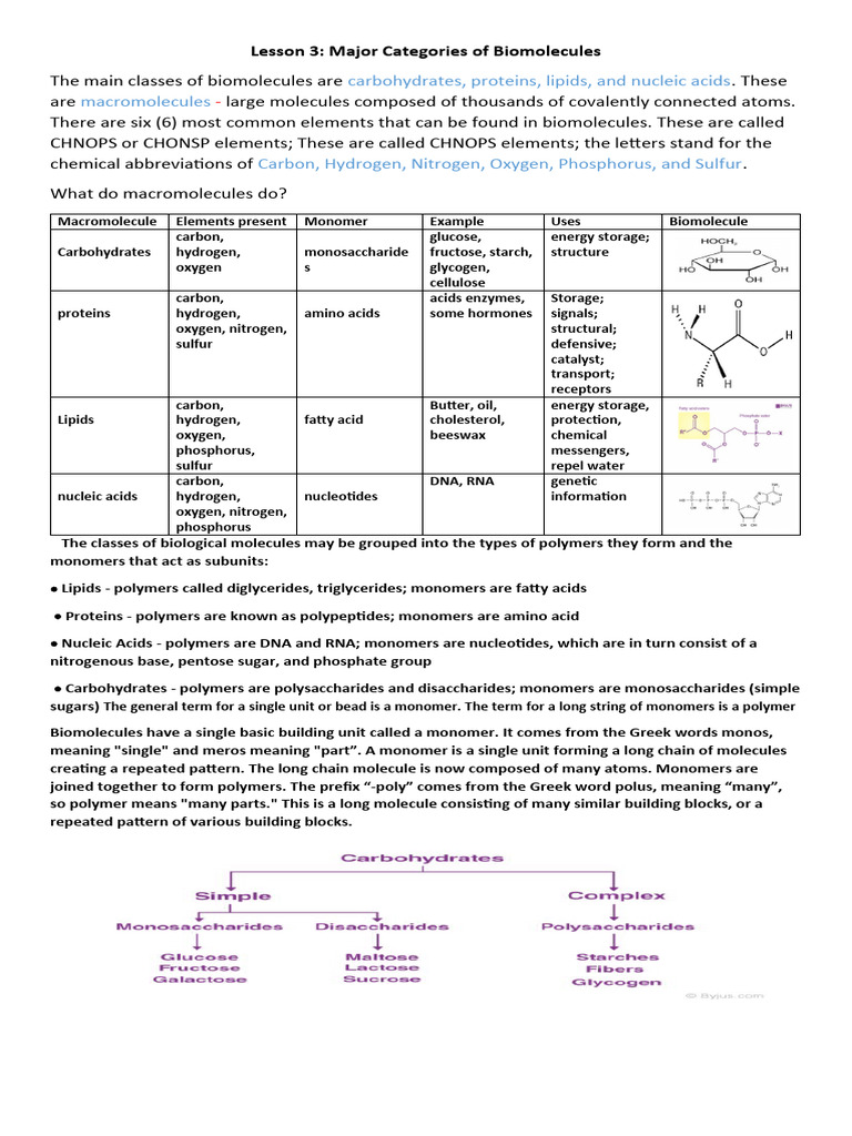 BIOMOLECULES | PDF | Biomolecules | Macromolecules