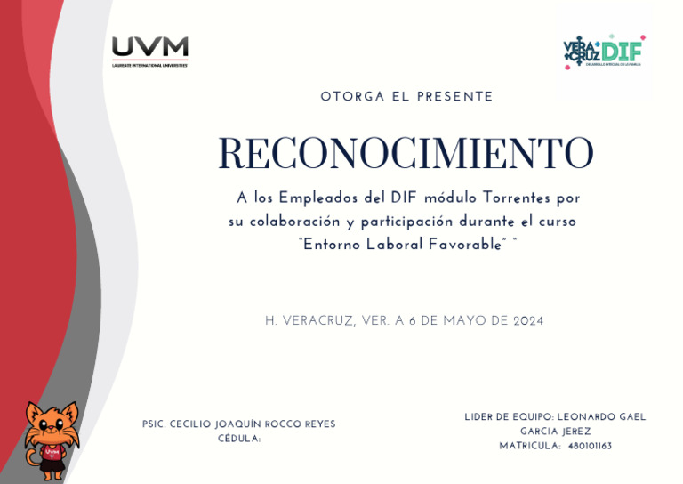 Formato de RECONOCIMIENTO o CONSTANCIA DIF | PDF