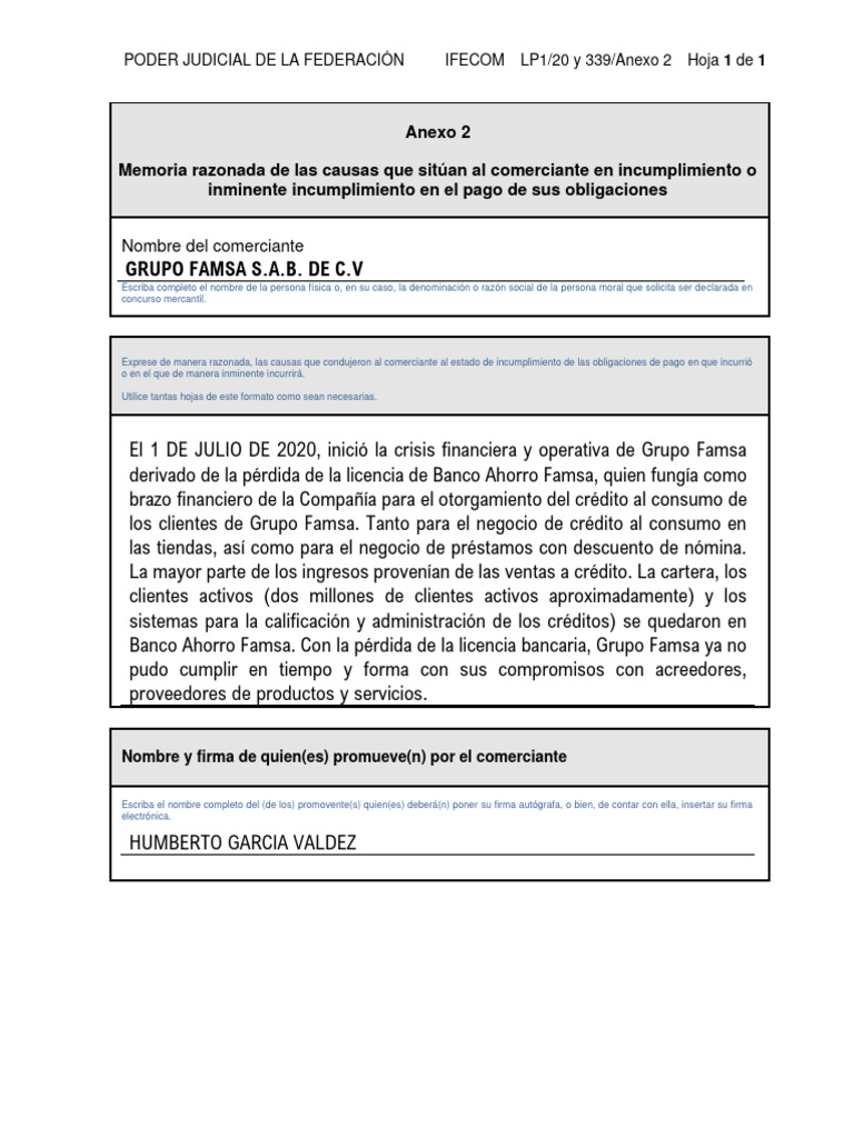 Anexo 2 Memoria Razonada | PDF