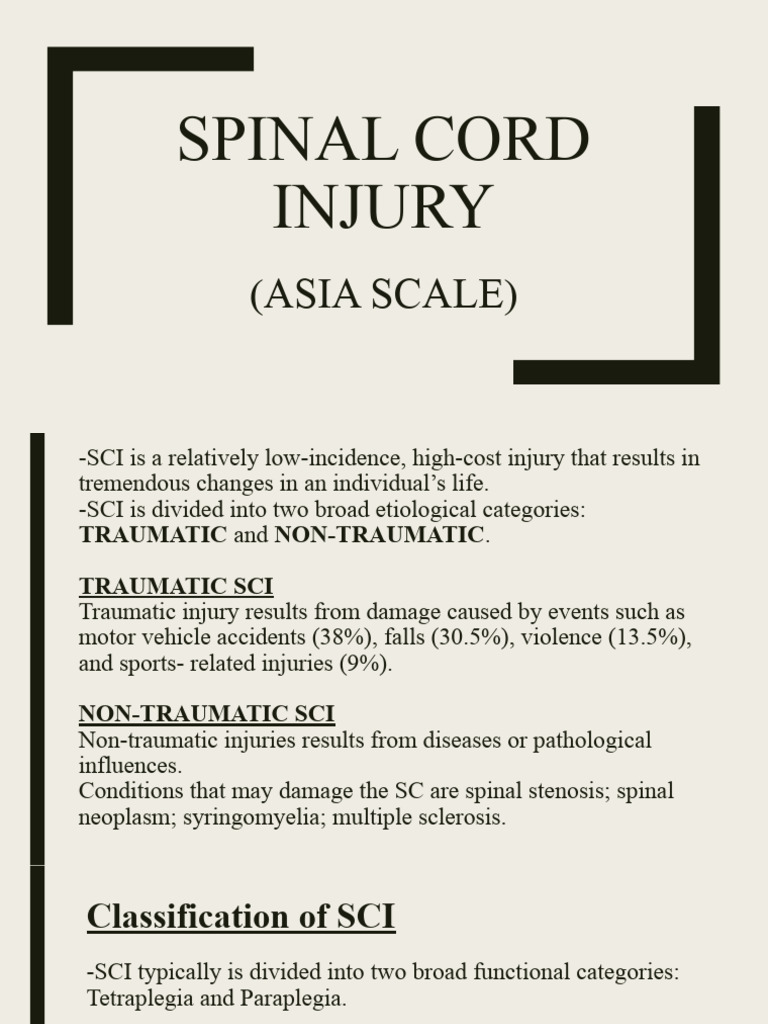 Sci Asia Scale PPT (Final) | Download Free PDF | Spinal Cord | Spinal ...