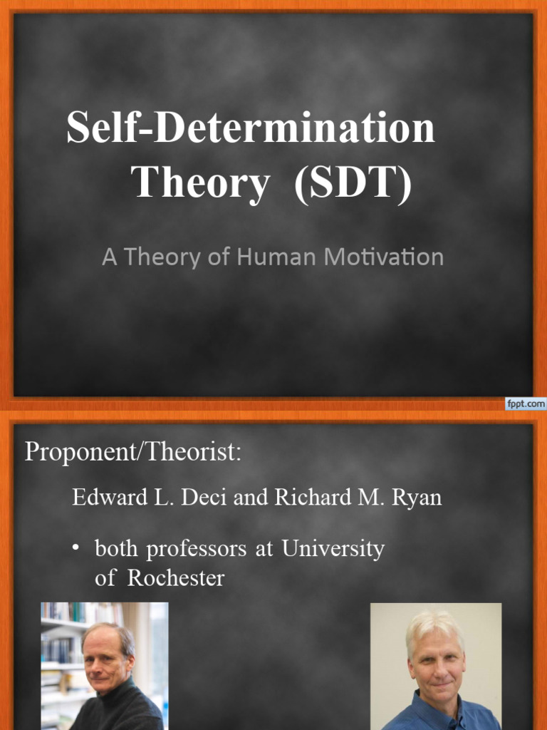 Self-Determination Theory Overview | PDF | Motivational | Motivation