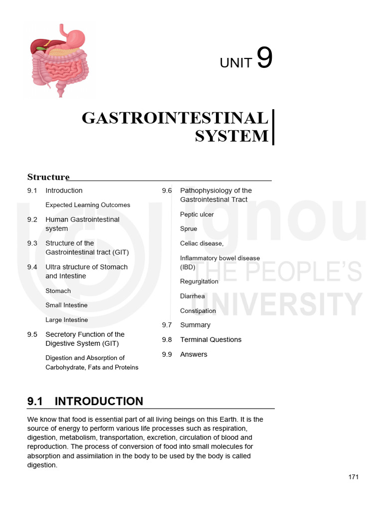 Gastrointestinal system | PDF | Stomach | Digestion