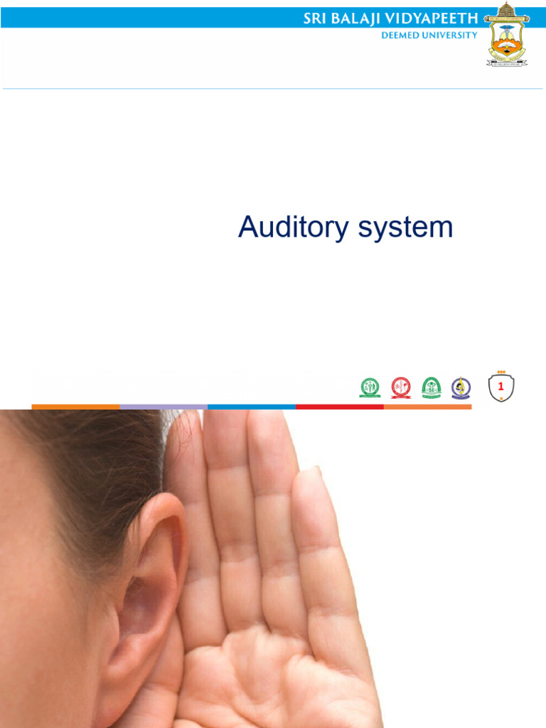Auditory System of Human Body | PDF | Ear | Pitch (Music)