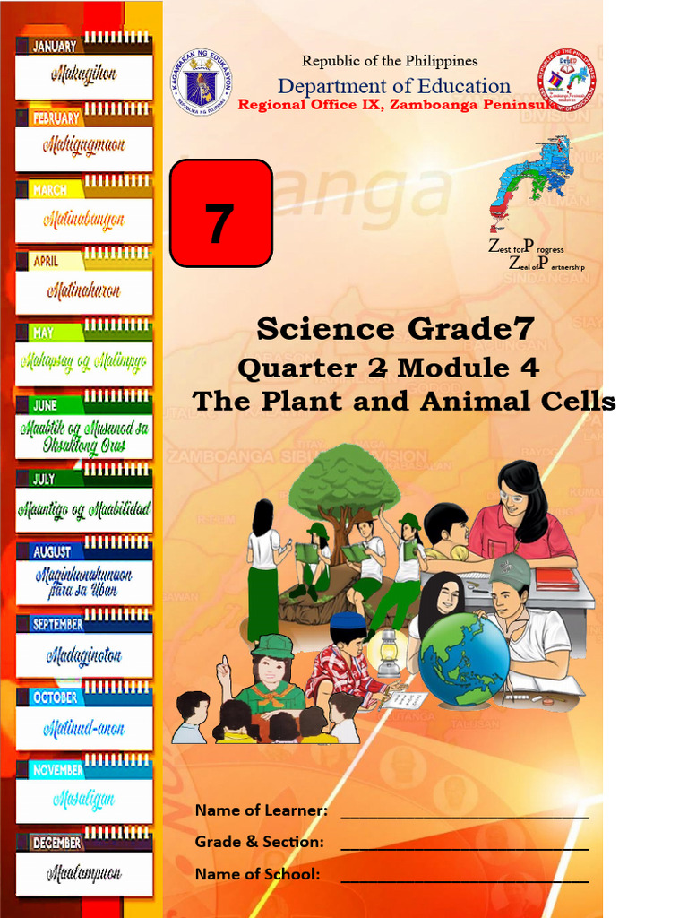 Science7 UPLOAD | PDF | Cell (Biology) | Endoplasmic Reticulum