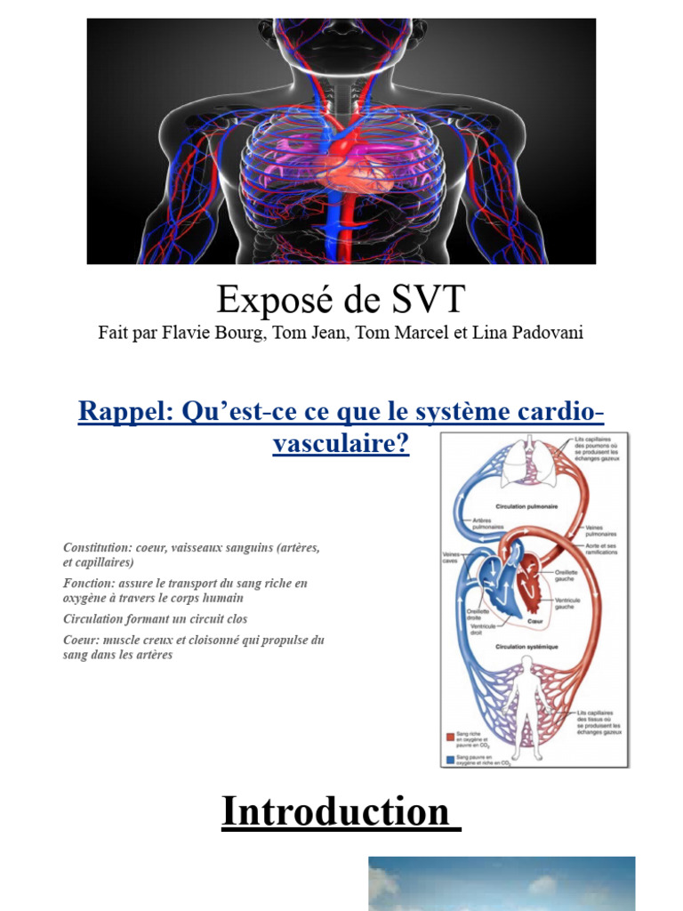 Infarctus du myocarde : causes et traitements | PDF | Infarctus du ...