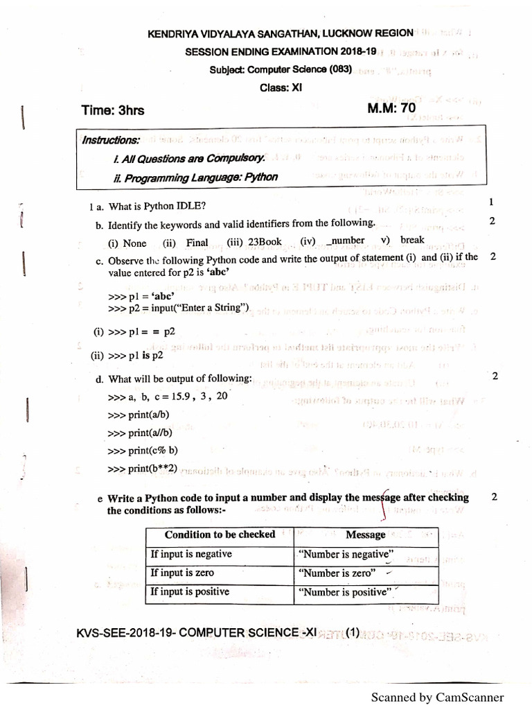 Cs QP See 2019 Samplepaper | PDF