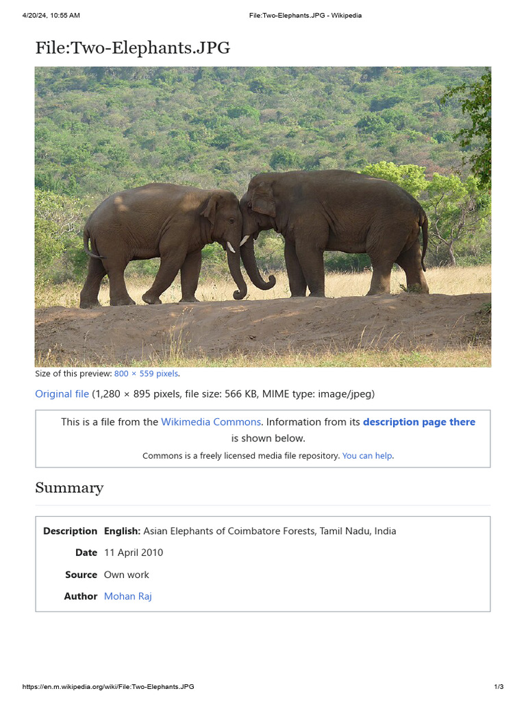 Elephant 2 | PDF | Wikipedia | Camera