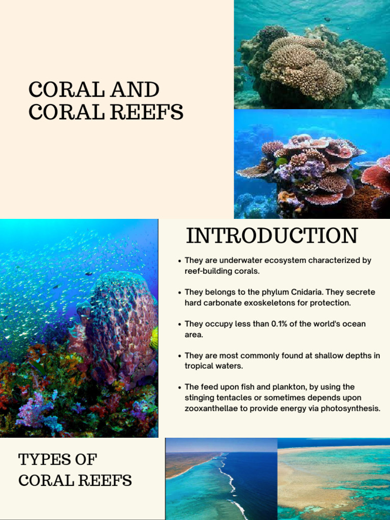 CORAL AND CORAL REEFS | PDF | Coral Reef | Coral