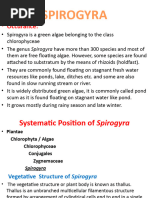 Understanding Dictyosomes and Golgi Apparatus | PDF | Endoplasmic ...