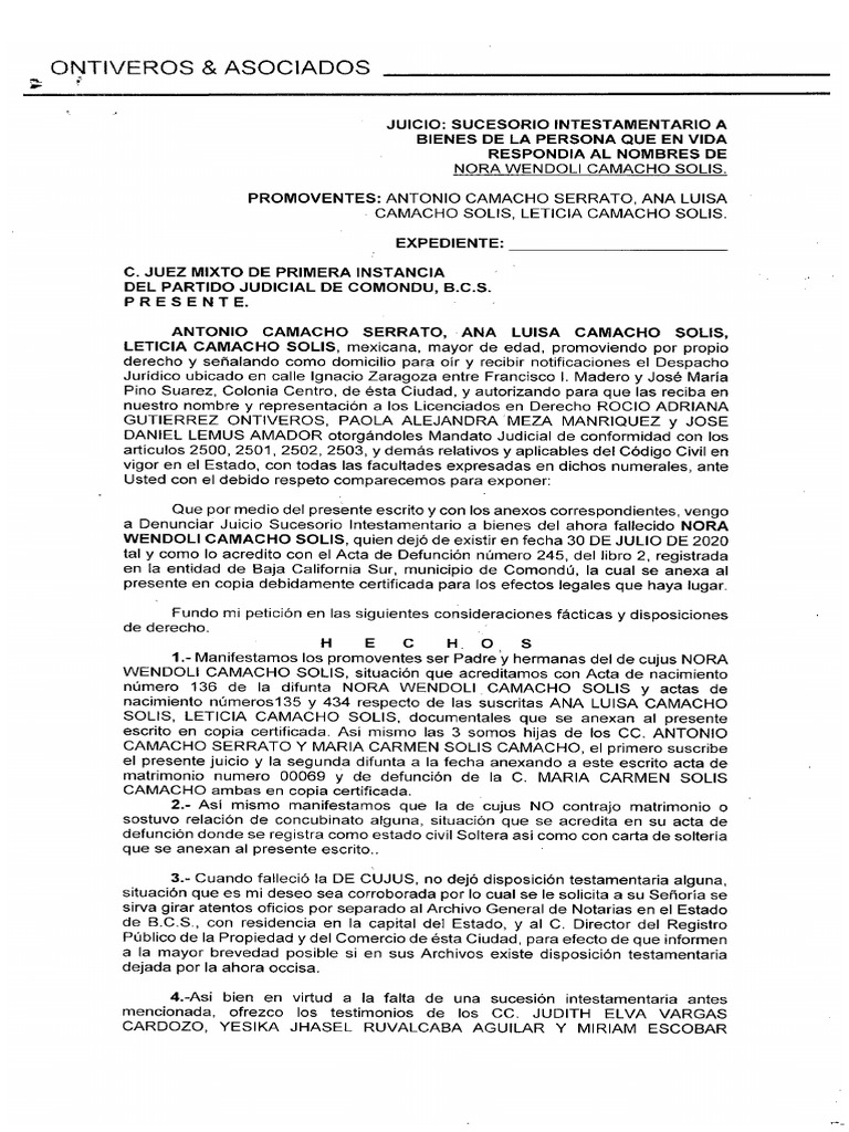 Formato de Demanda 04 | PDF