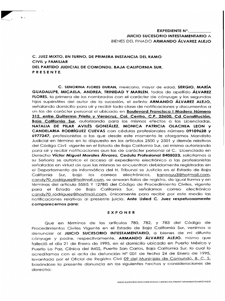 Formato de Demanda 02 | PDF