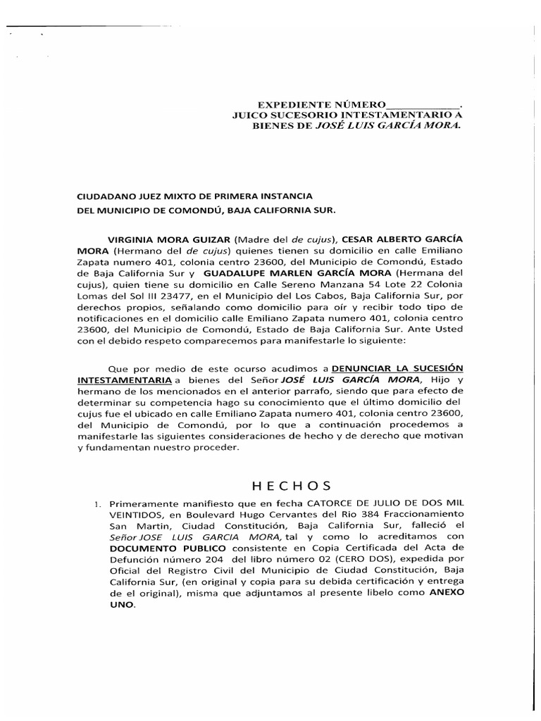 Formato de Demanda 05 | PDF