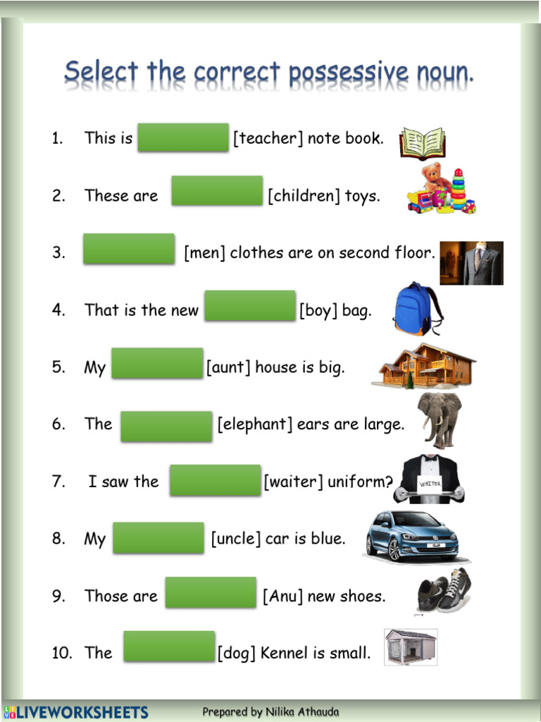 Possessive Forms in Everyday Contexts | PDF