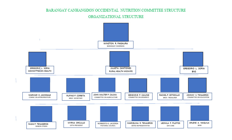 Barangay Nutrition Committee Chart | PDF