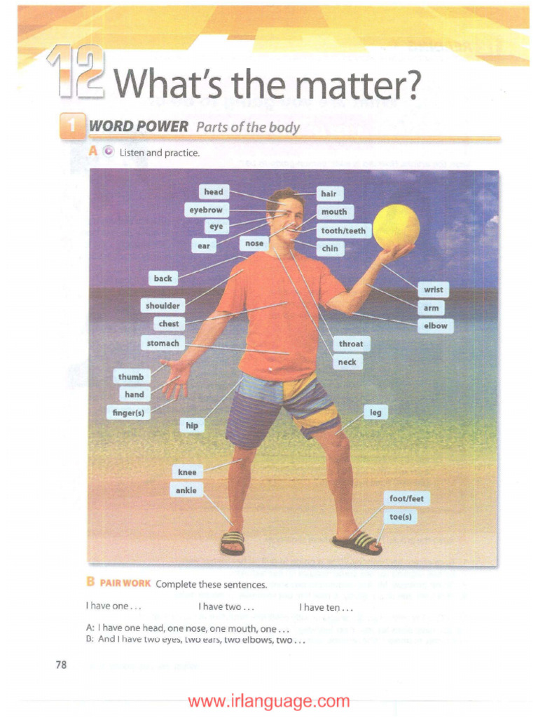 Body Parts & Health Problems | PDF