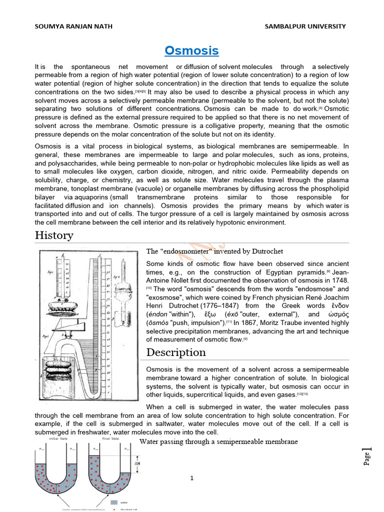 Osmosis | PDF | Osmosis | Chemistry