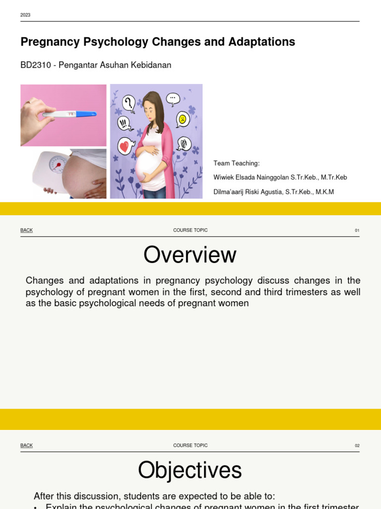 PERT 3 Pregnancy Psychology Changes and Adaptations | PDF | Pregnancy ...