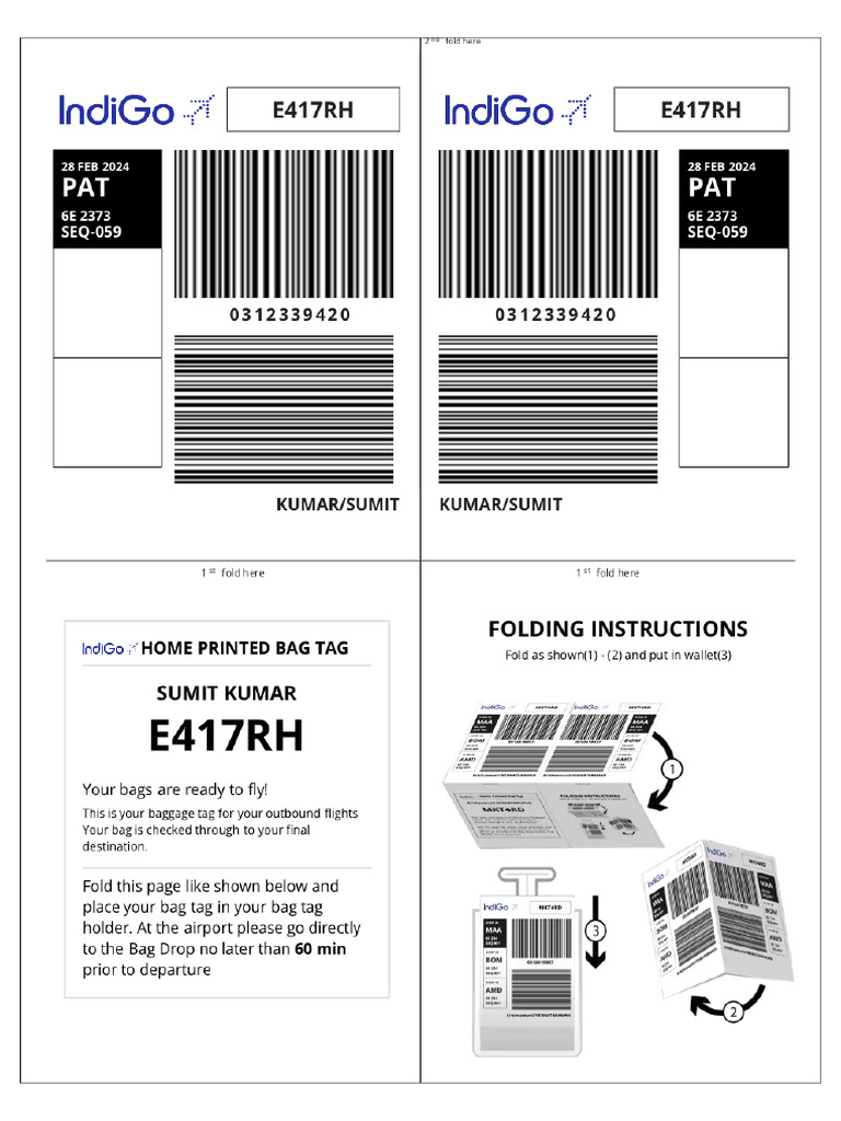 Baggage Tag | PDF