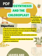 Chloroplast Labelled A Level Diagram | PDF | Chloroplast | Cell (Biology)