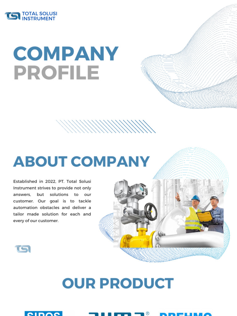 TSI - Company Profile | PDF