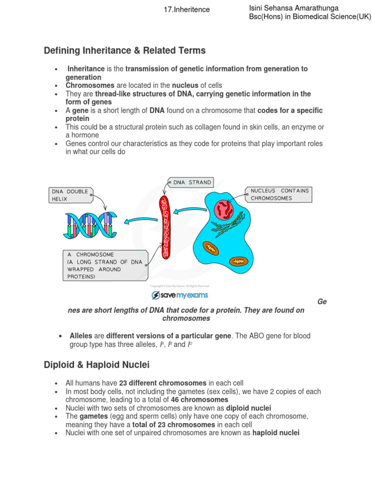 Inheritance and Genetic Terminology | PDF | Dominance (Genetics) | Genotype