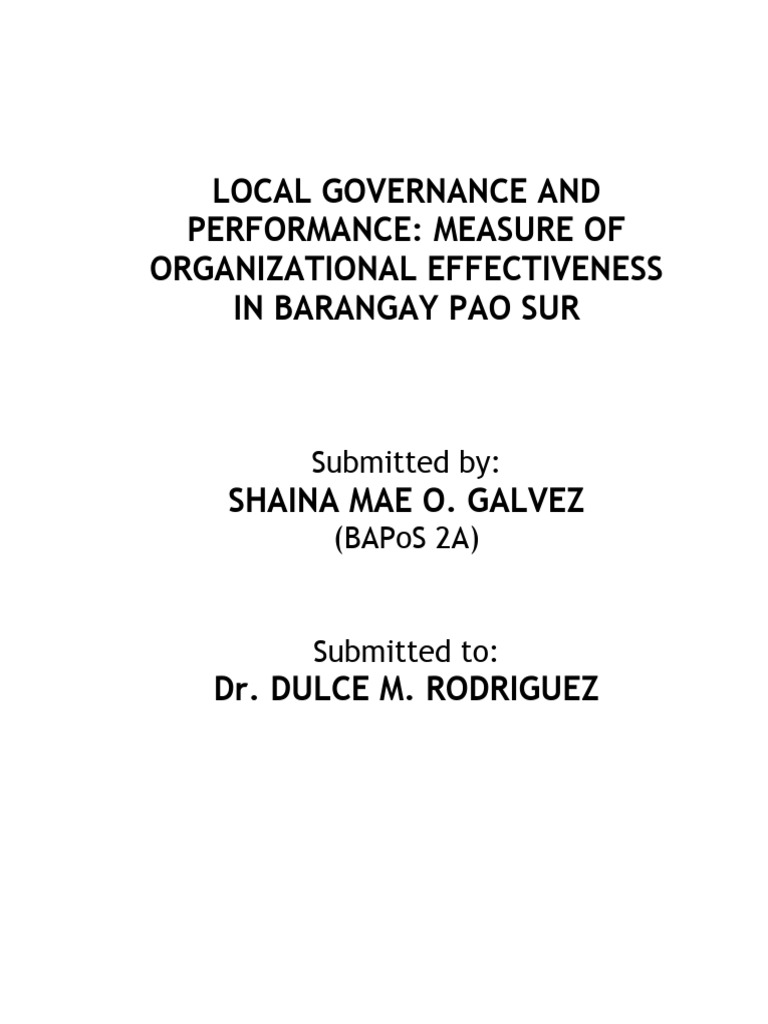 Local Governance and Performance | PDF | Governance | Business