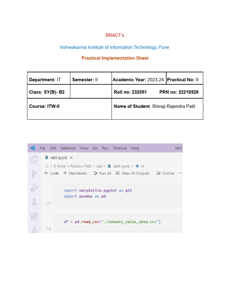 IT Data Visualization Practical Sheet | PDF | Business