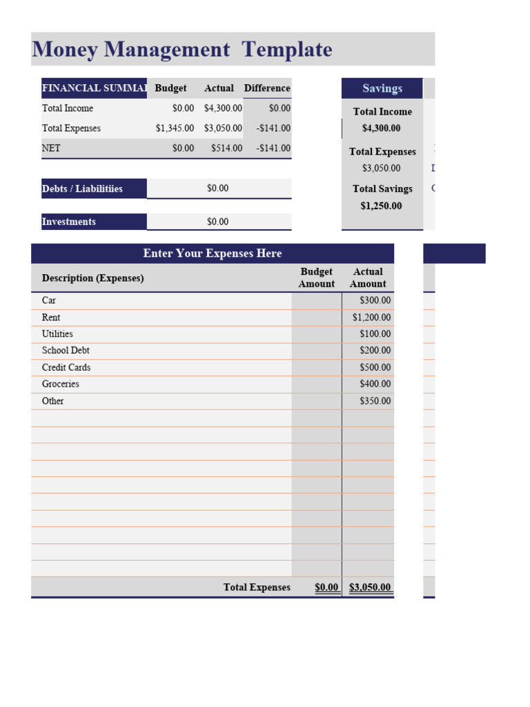 Money Management Excel Template | PDF | Debits And Credits | Expense