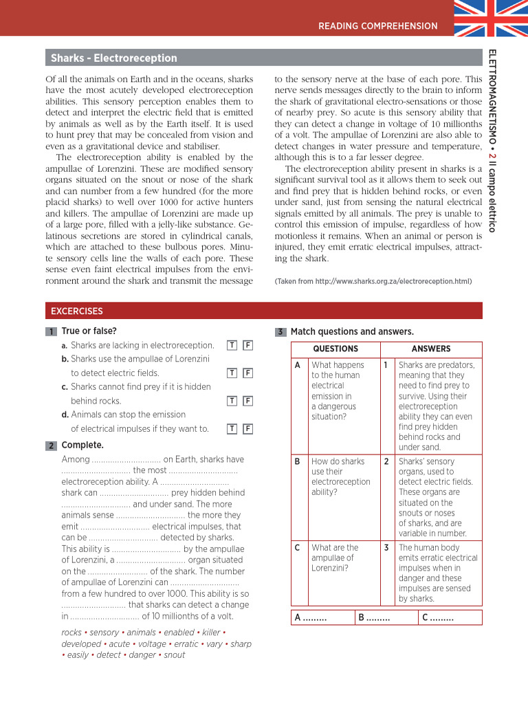 Sharks Electroreception | PDF | Sharks | Zoology