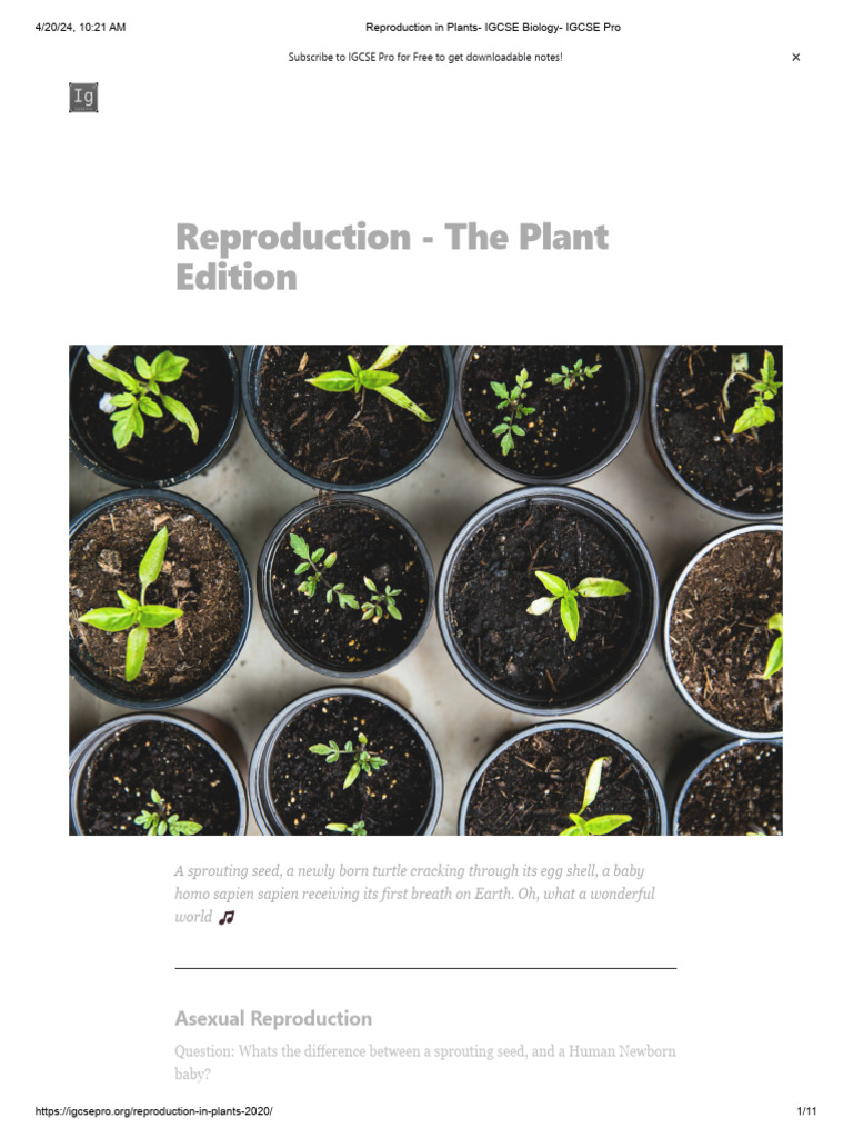 Reproduction in Plants - IGCSE Biology - IGCSE Pro | PDF | Flowers ...