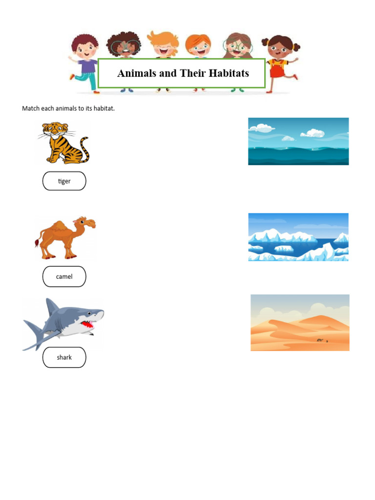 Animals and Their Habitats Matching | PDF