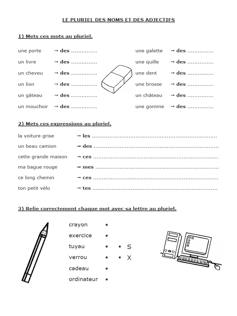 Le Pluriel Des Noms Et Adjectifs Exercices 2 | PDF