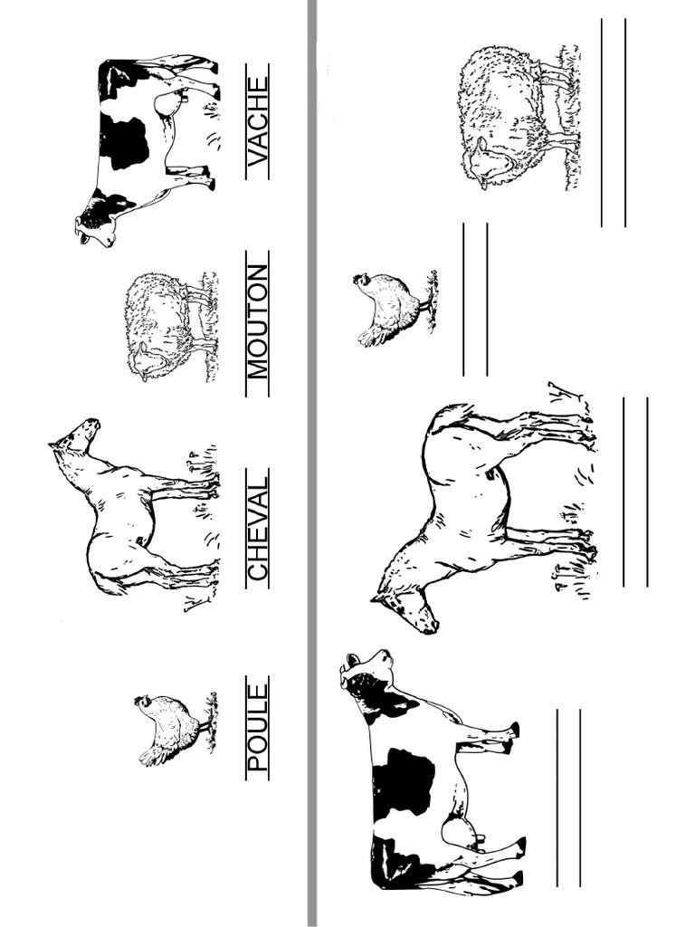 Noms Animaux Ferme Ms | PDF