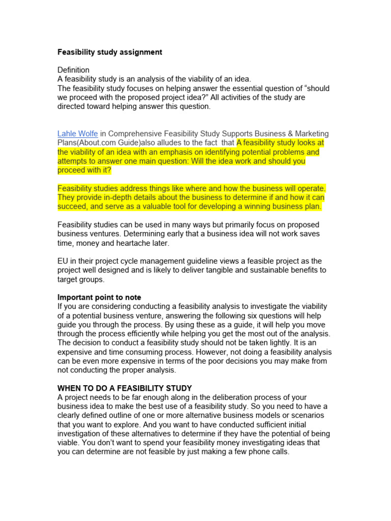 Feasibility Study Assignment | PDF | Feasibility Study | Market (Economics)