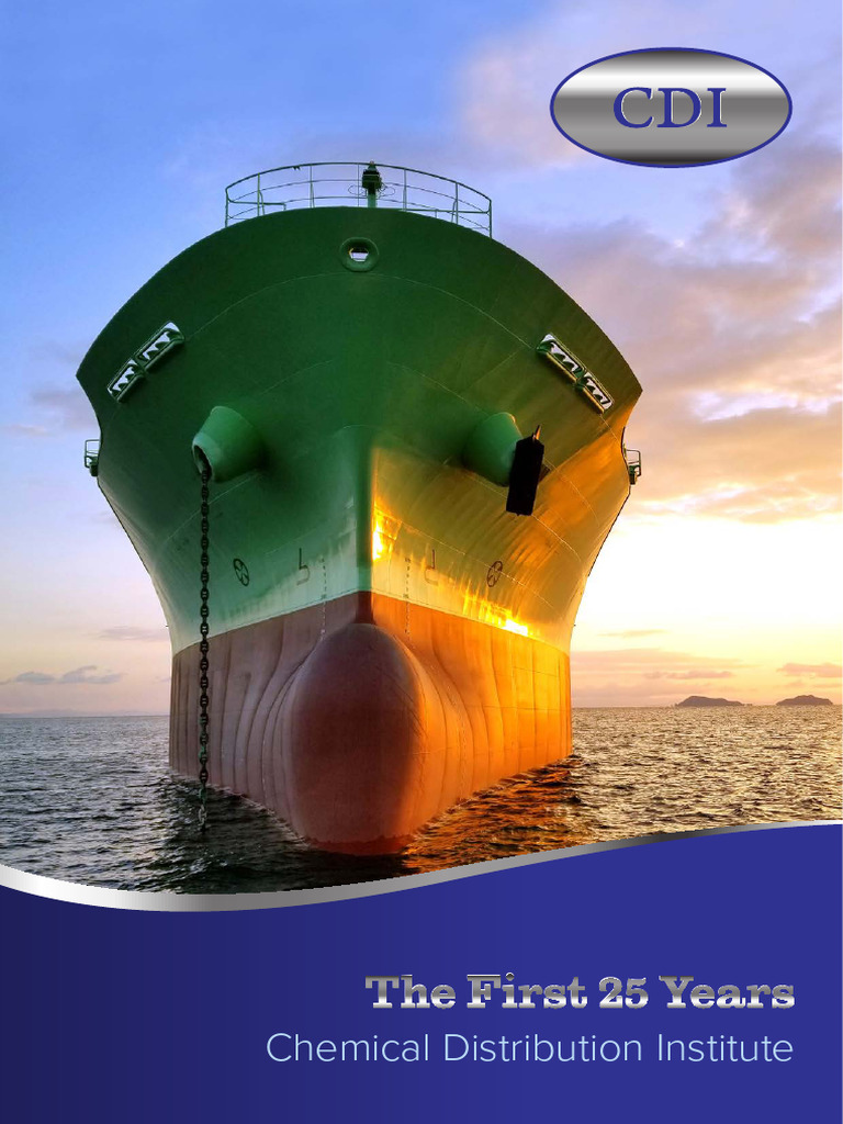 CDI Yearbook The First 25 Years | PDF | Audit | Employment