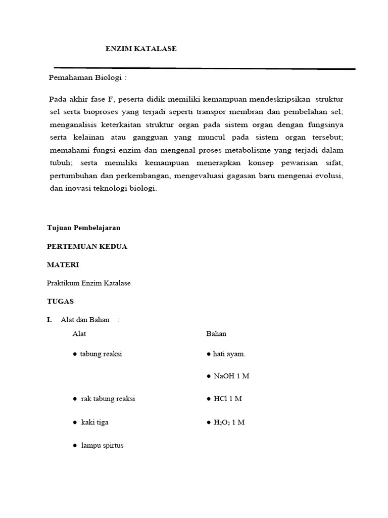 LKPD Enzim Katalase | PDF