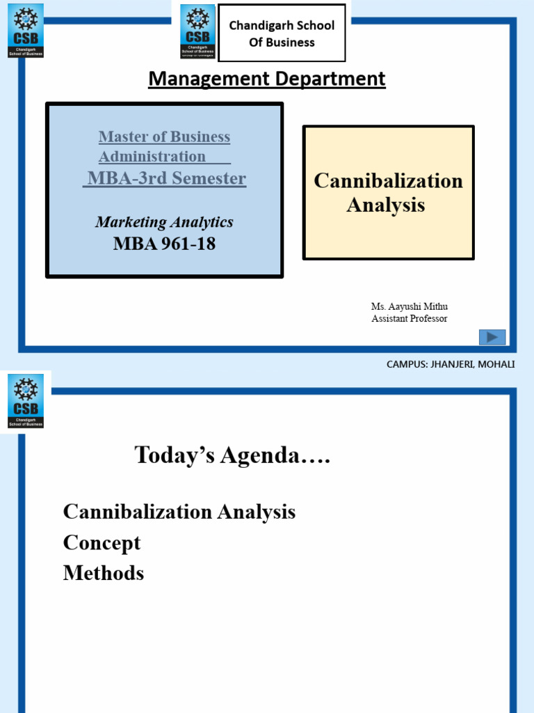 Cannibalization Analysis in Marketing | PDF | Risk | Risk Management