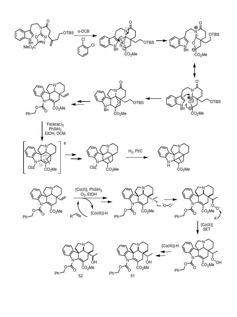 Bài giảng - MHAT và HAT - 2 | PDF