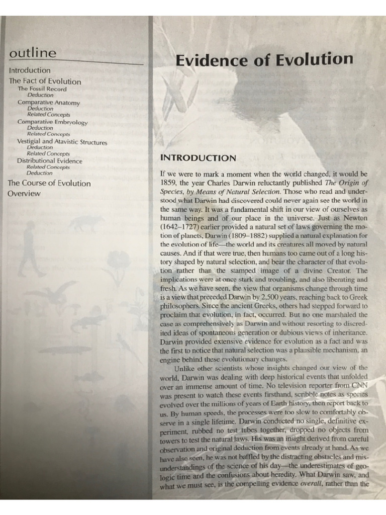 Chapter 6 Evidence of Evolution | PDF