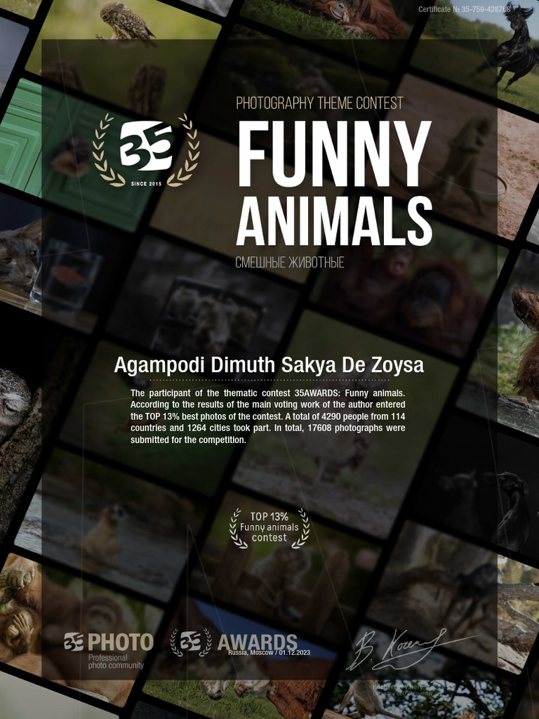 35awards 759 en | PDF