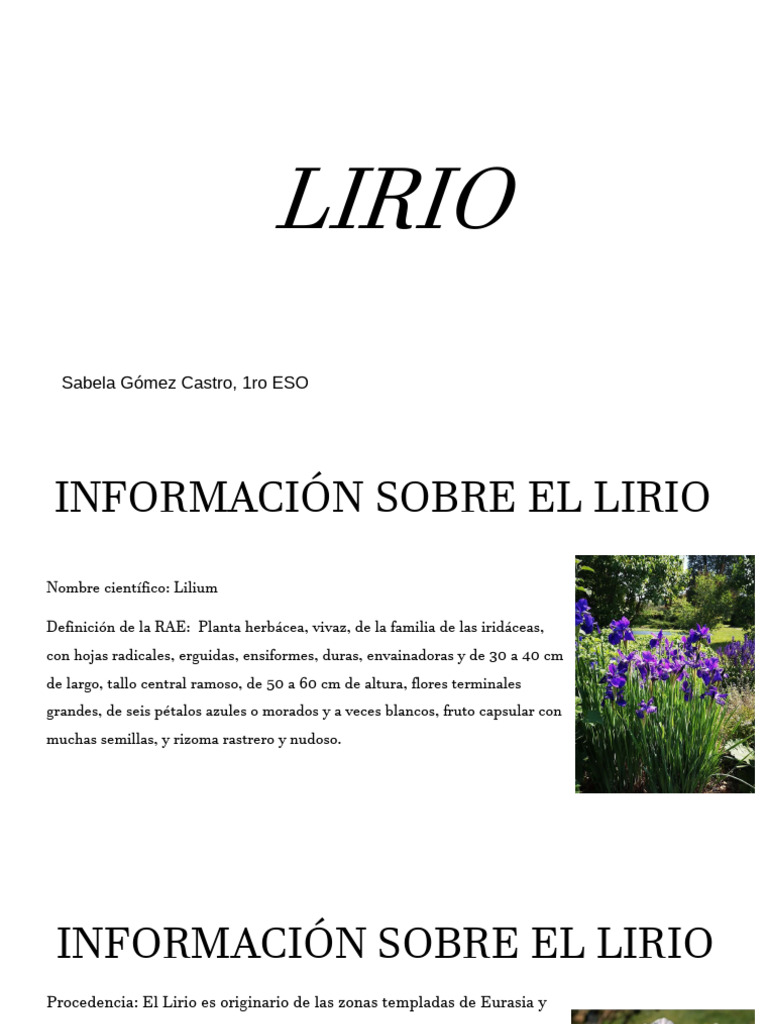 Lirio Presentación | PDF