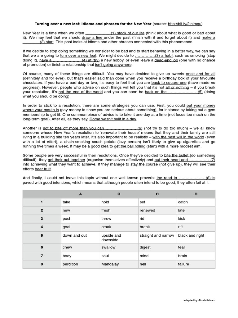 New Year Idioms and Phrases Guide | PDF | Self-Improvement