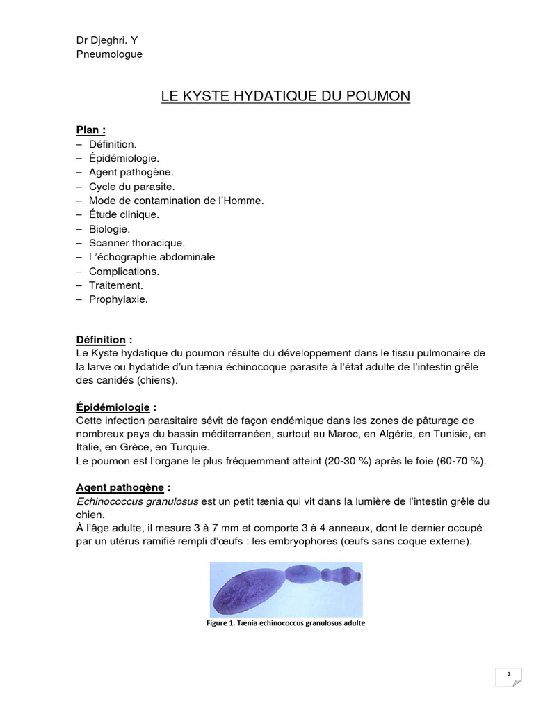 Kyste hydatique du poumon : enjeux et traitements | PDF | Causes de ...