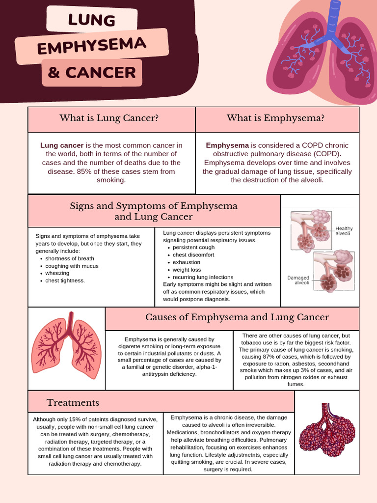 IB Biology Lung Cancer and Emphysema Infographic | PDF | Chronic ...