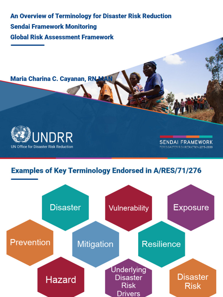 Sendai Framework | PDF | Disaster Risk Reduction | Hazards