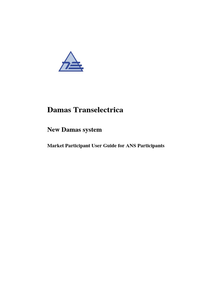 Damas Market Management System Guide | PDF | Software